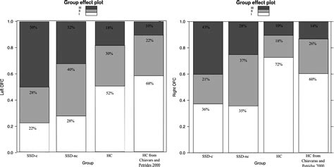Orbitofrontal Sulcal Patterns In Catatonia European Psychiatry Cambridge Core