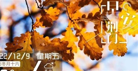 早安荆门〔129〕丨胡亚波调研部分重点企业沿江高铁荆门境内首个隧道顺利贯通腾讯新闻