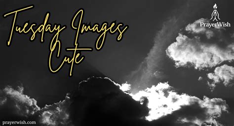 101 Adorable Tuesday Images Cute Quotes And Blessings