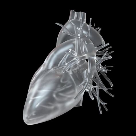Glass Heart Stock Illustration Illustration Of Rendered 131332946
