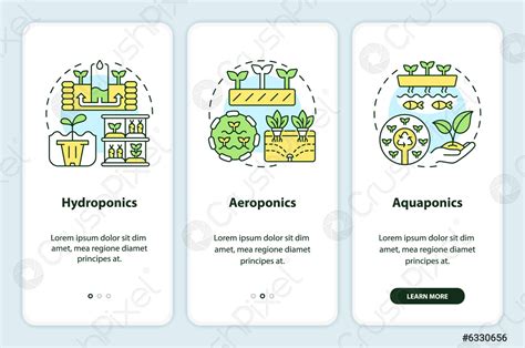 Types Of Vertical Farming With Linear Icons Stock Vector
