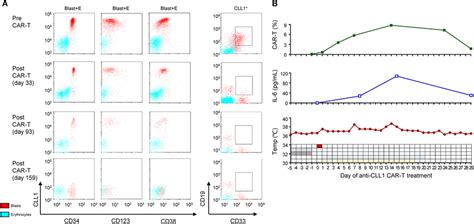 Mrd And Crs Status During Acnti Cll1 Car T Cell Therapy A Cll1 Download Scientific Diagram