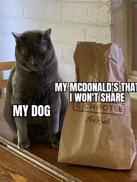 An Eternal Stuggle R Dankmemes