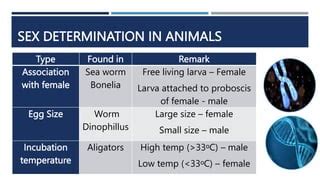 SEX DETERMINATION LINKAGE Pptx Genetics Science