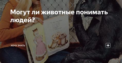 Могут ли животные понимать людей? | Хочу Знать | Дзен