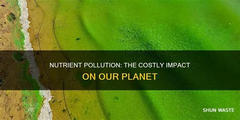 Nutrient Pollution The Costly Impact On Our Planet Shunwaste