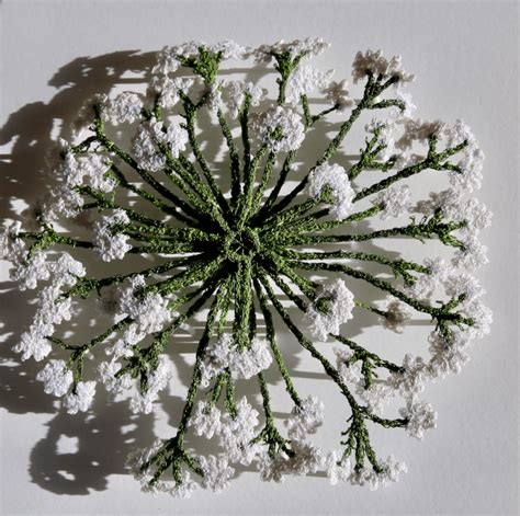 Queen Annes Lace Tattoo Meaning Queen Annes Lace Small Card — Form