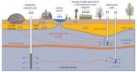 Environmental Distribution Fate And Transport Microplastics