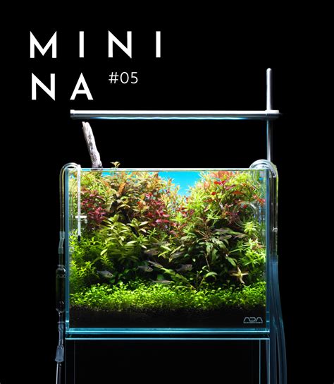 MINI NA 小さくても本格的という水槽システムの選択 AQUA DESIGN AMANO