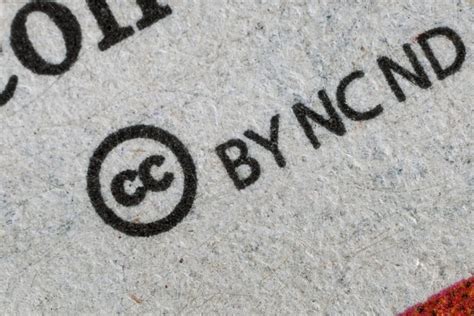 Wordpress Plugin Licensing Subscription Models Explained Developry