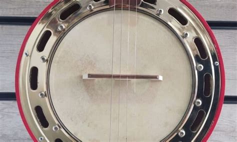 4 String Vs 5 String Banjo How To Choose The Perfect Instrument