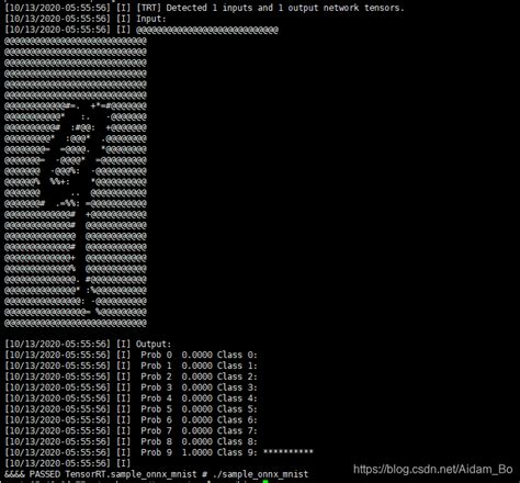 tensorrt之tensorrtx编译：遇到的错误提示 read files in dir failed csdn博客