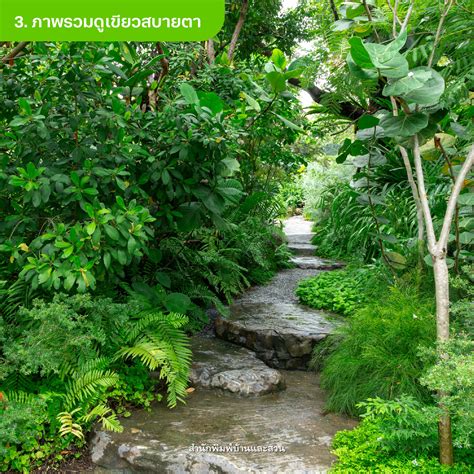 สำนักพิมพ์บ้านและสวน การออกแบบสวนทรอปิคัล ใช้พรรณไม้หลายระดับ แต่ภาพรวมยังคงให้สีเขียวสดชื่น