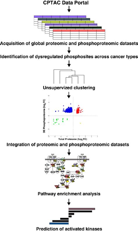 Workflow Depicting Re Interpretation Of Quantitative Global And