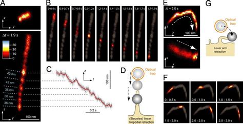 Nanometer Precise 3d Tracking Of Linear And Lever Arm Retraction 2d
