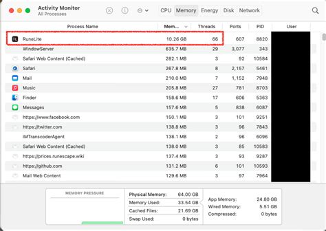 Runelite Memory Leak Apple Silicon Client Gb Of Memory After Hours Runelite Runelite