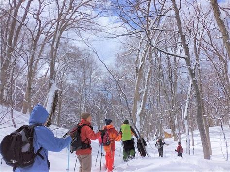 Shirakami Snow Trekking｜search Destinations In Tohoku Travel To