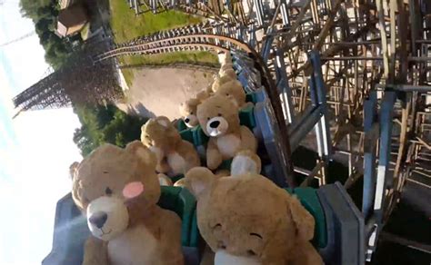 네덜란드 롤러코스터에 곰인형 22마리 탑승한 이유는 영상 나우뉴스