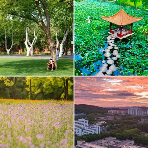 Huazhong University Of Science And Technology Hust 2024 • Instagram Photos And Videos
