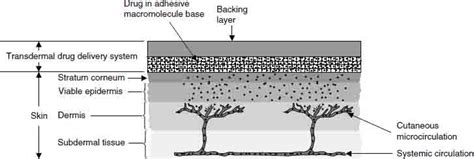 Fentanyl Transdermal Matrix Patch Durotep® Mt Patch Durogesic® Dtrans