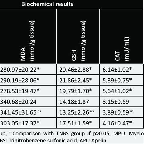 Biochemical And Histopathological Results Download Scientific Diagram