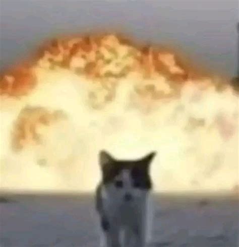 Create Meme Cat Explosion Epic Cat A Cat On The Background Of An