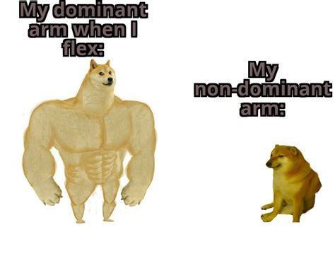 The Best Flex Memes Memedroid