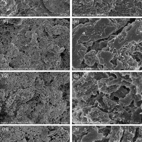Reaction Between L Tryptophan Trp And Formaldehyde Followed By