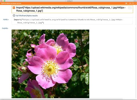 plotting a complete graph with a given image as vertices mathematica