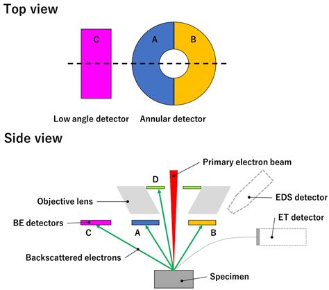 How Does An Electron Detector Work At Russell Chau Blog