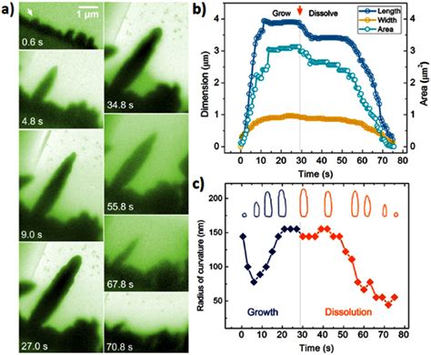 A Sequential Images Showing Growth And Dissolution Of A Lead Branch