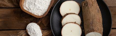 Tapioca Starch Bio Raw Material Hanseatic Agri