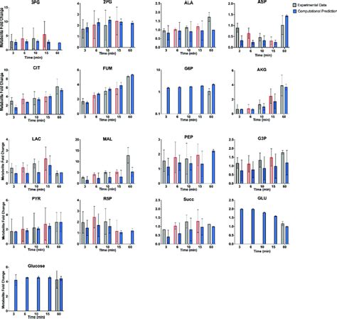 Model Fit To Relative 16 7 2 8mm Glucose Experimental Data We Trained Download Scientific