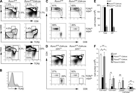 runx1 is required for positive selection and maturation of cd4sp