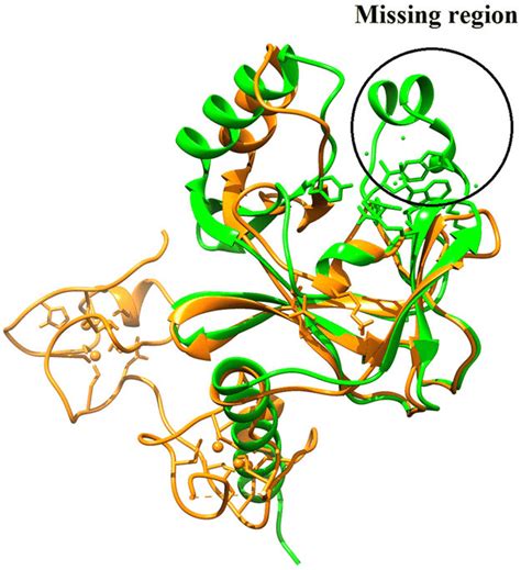 Superposition Of Ezh2 With Hset8 Set Domain The 3d Structure Of Ezh2