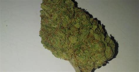 One Huge Nug From My Half Ounce Pick Up Of Blue Dream Imgur