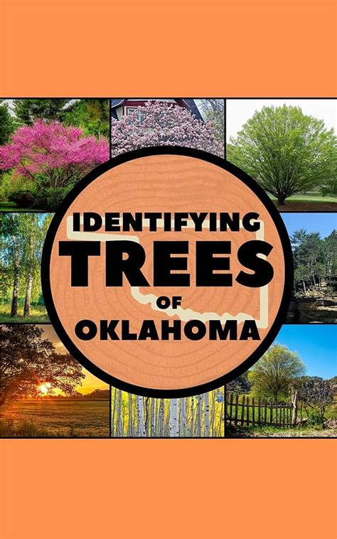 Oklahoma Tree Identification Key