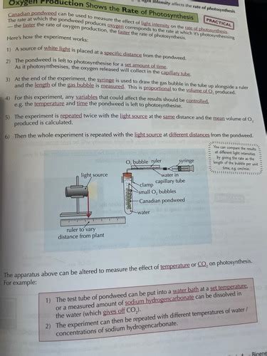 Topic 4 Bioenergetics Flashcards Quizlet