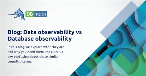 Blog Data Observability Vs Database Observability 🔍 Application Performance Ltd