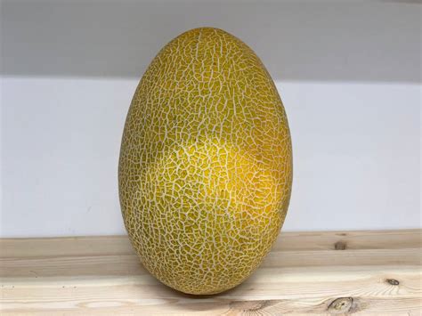 Melon Mirza Chol Uzbeksouq