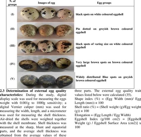 Egg Distribution According To Spots And Shell Colures In Three Lines Of