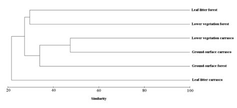 similarity dendrogram bray curtis index showed the similarity