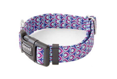 Clam Shell Hearts Collar Caninus Collars