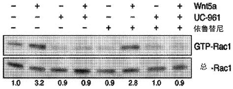Cancer Treatment Combinations Eureka Patsnap