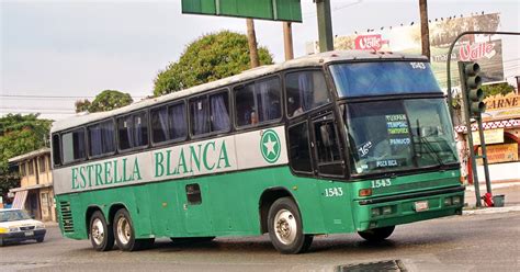 Maxibuses Autobuses Estrella Blanca