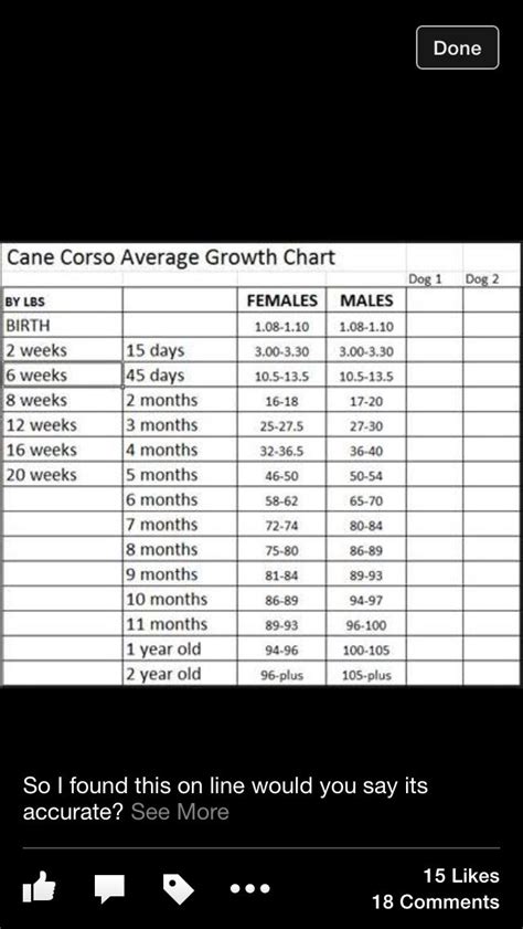 Cane Corso Height Growth Chart At Victoria Mcbrien Blog