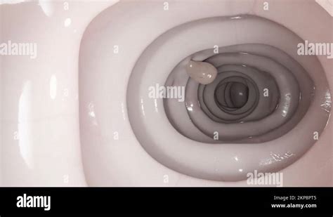 Endoscopy Colon Stock Videos And Footage Hd And 4k Video Clips Alamy