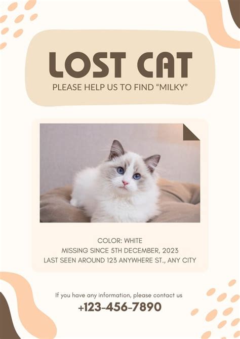 Free Printable Editable Lost Cat Poster Templates Canva