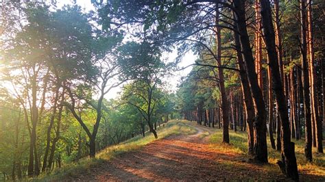 Pathway Hd Wallpapers 4k Hd Backgrounds On Wallpaperbat