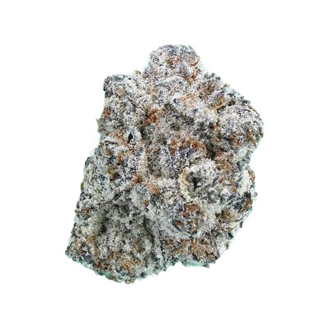 Rocky Mountain Cannabis London Jealousy Up In Smoke
